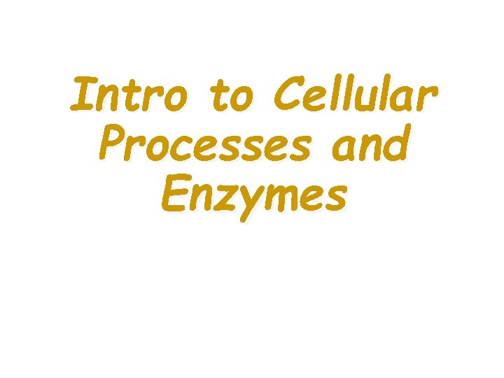 Intro to Cellular Processes and Enzymes 1 Heterotrophs