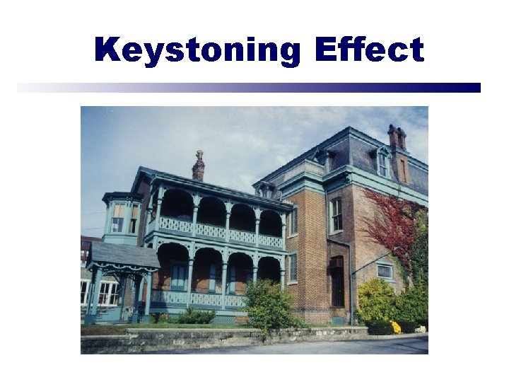 Photoshop Basics Extended Instructor Vicki Weidler Assistant Joaquin