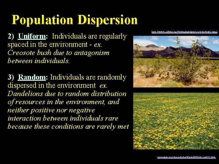 Population Ecology Ch 9 Population Ecology Outline 9