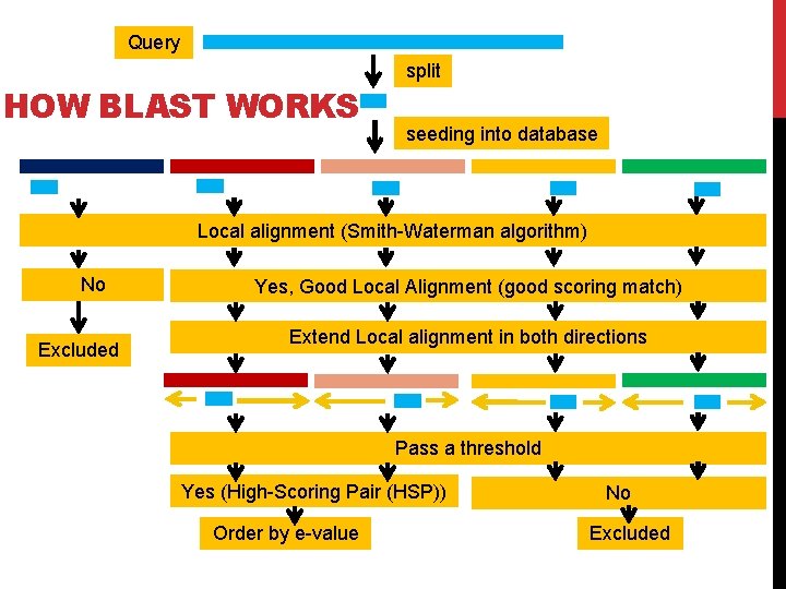 BASIC LOCAL ALIGNMENT SEARCH TOOL BLAST BLAST In
