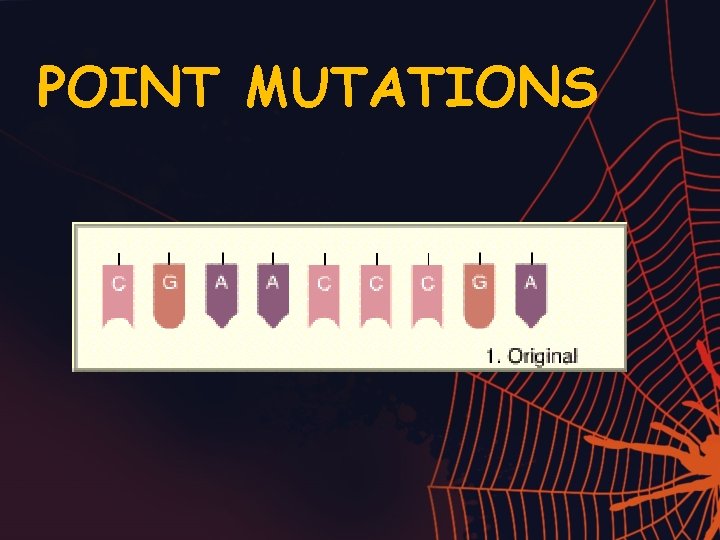 SAT VOCABULARY TWO So now we are going