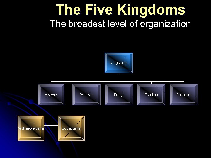 The Classification System An Interactive Power Point Presentation
