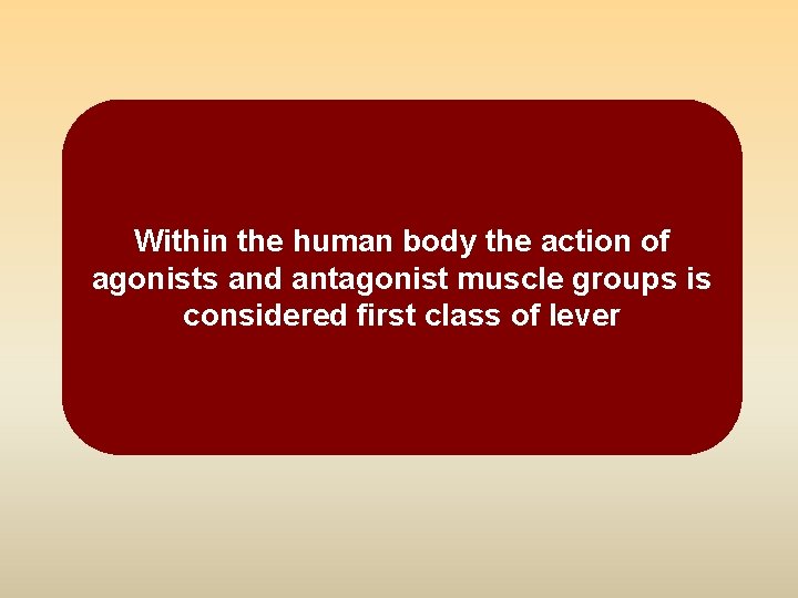 Simple body machines It include 1 Levers 2