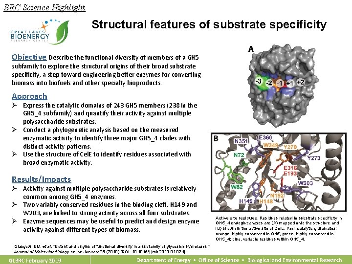 BRC Science Highlight Structural features of substrate specificity