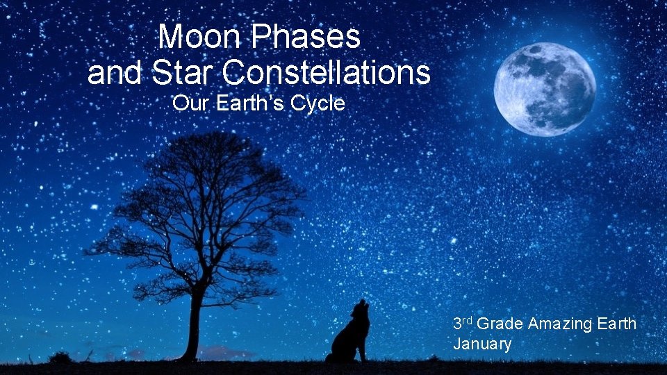 Moon Phases and Star Constellations Our Earths Cycle