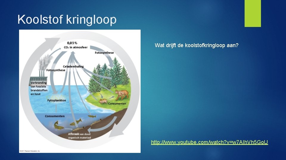 Ecologische niveaus Ecologische niveaus Individu Een organisme van