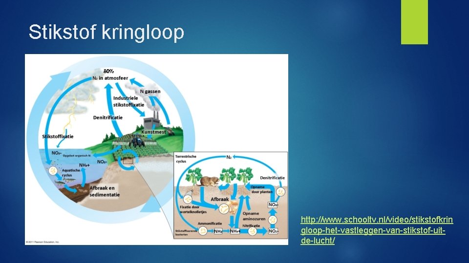 Ecologische niveaus Ecologische niveaus Individu Een organisme van