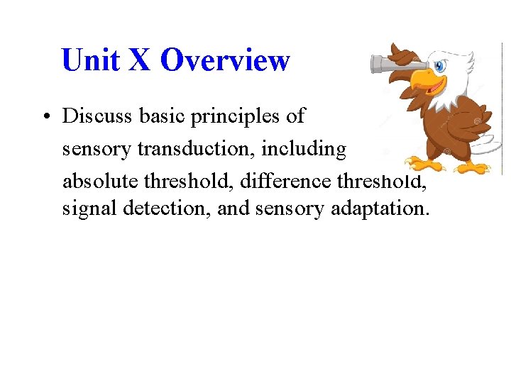 AP Psychology Opening WarmUp TBA Lesson Focus Perceptual