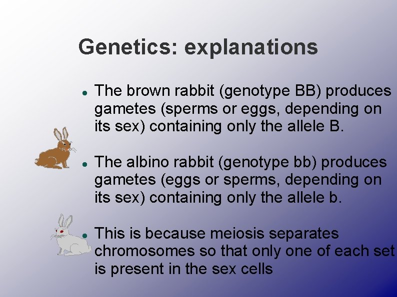 Simple genetics example Albino rabbits have white coats