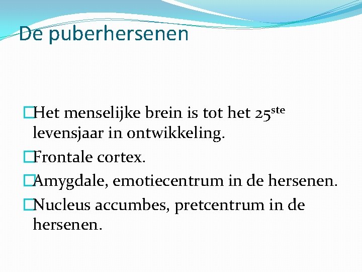 Puberbrein Presentatie Ruud van Dijk Het puberende brein