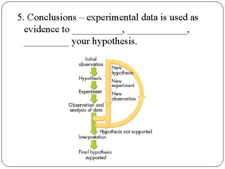 Scientific Method Section 1 1 A Scientific Methodology