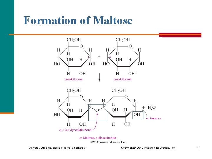 Chapter 15 Carbohydrates 15 5 Disaccharides General Organic
