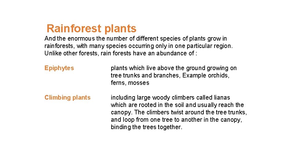 The Rainforest Ecosystem Learning objectives To describe the