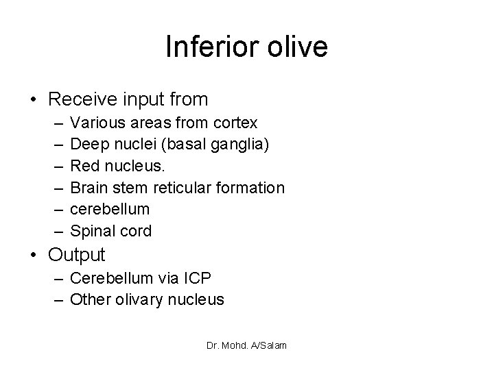 Brain stem Dr Mohamed Abdel Salam Nurein Anatomy