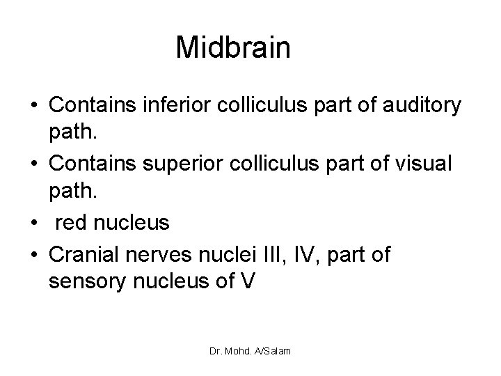 Brain stem Dr Mohamed Abdel Salam Nurein Anatomy