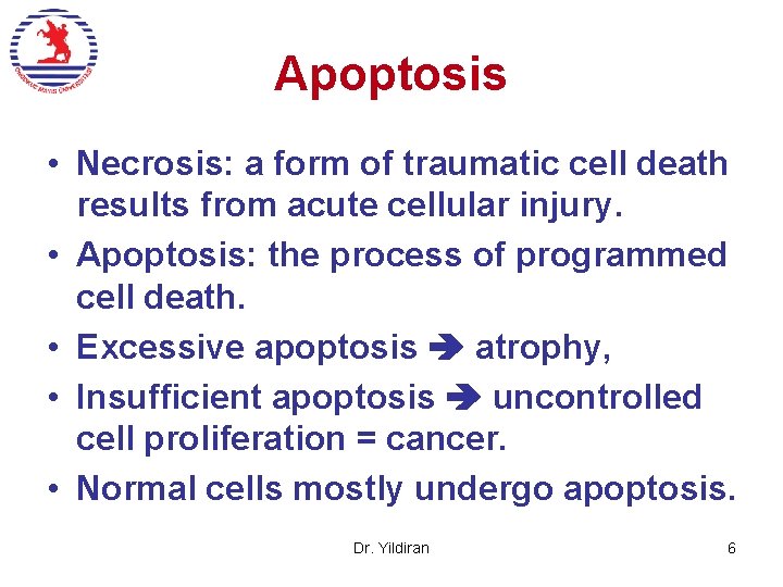 Tumor Immunology Ref Abbas 2013 uptodate Dr Yildiran