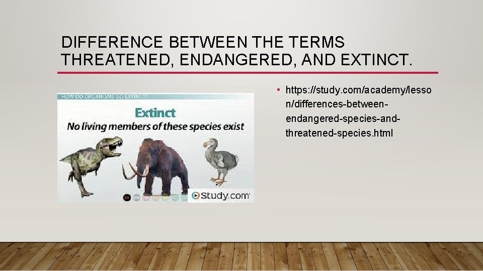 THE ENDANGERED ANIMAL BY SCARLETT YUAN THE ENDANGERED