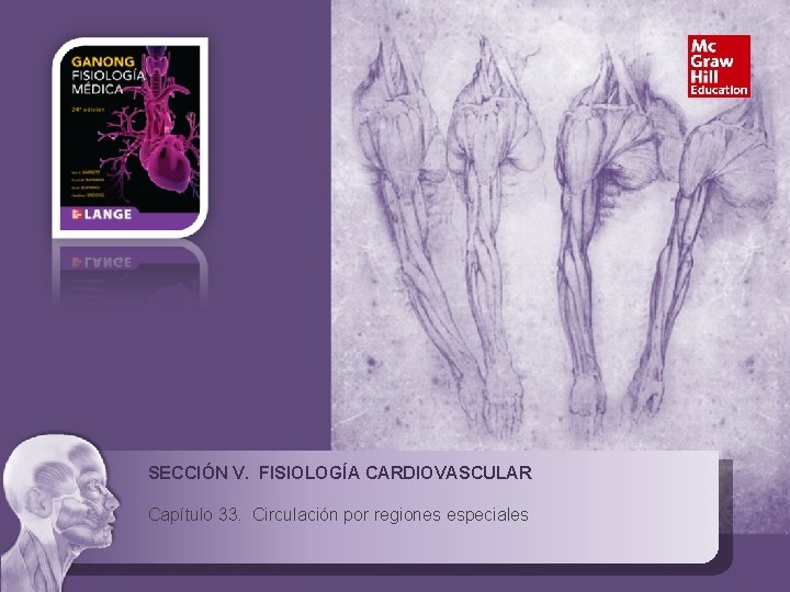 SECCIN V FISIOLOGA CARDIOVASCULAR Captulo 33 Circulacin por