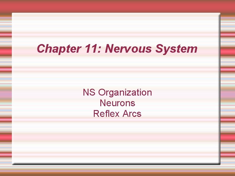 Chapter 11 Nervous System NS Organization Neurons Reflex