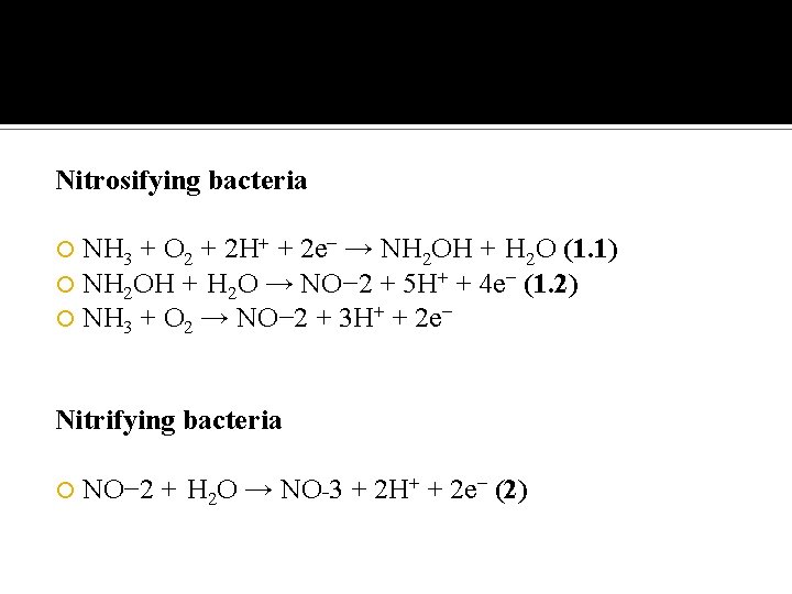 CHAPTER 4 STUDY OF VARIOUS BACTERIAL GROUPS 4