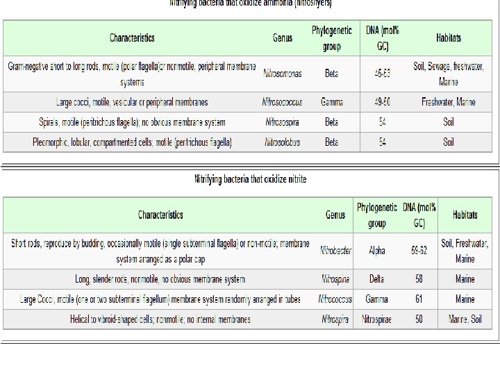 CHAPTER 4 STUDY OF VARIOUS BACTERIAL GROUPS 4