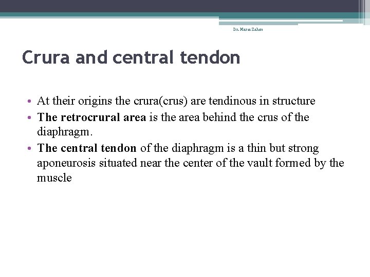 In the name of God Posterior abdominal wall