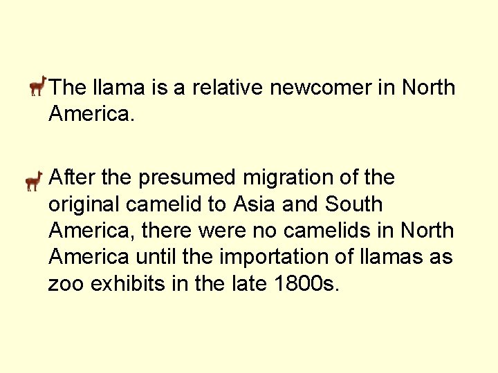 The History of Llamas Instructor Kimberly Stoudt Blended