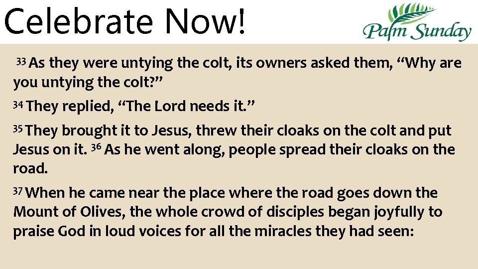 Celebrate Now Luke 19 28 40 Celebrate Now