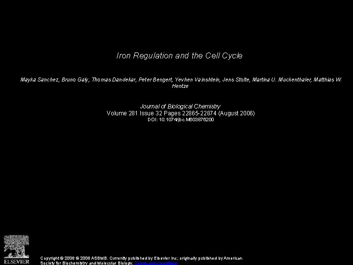 Iron Regulation and the Cell Cycle Mayka Sanchez