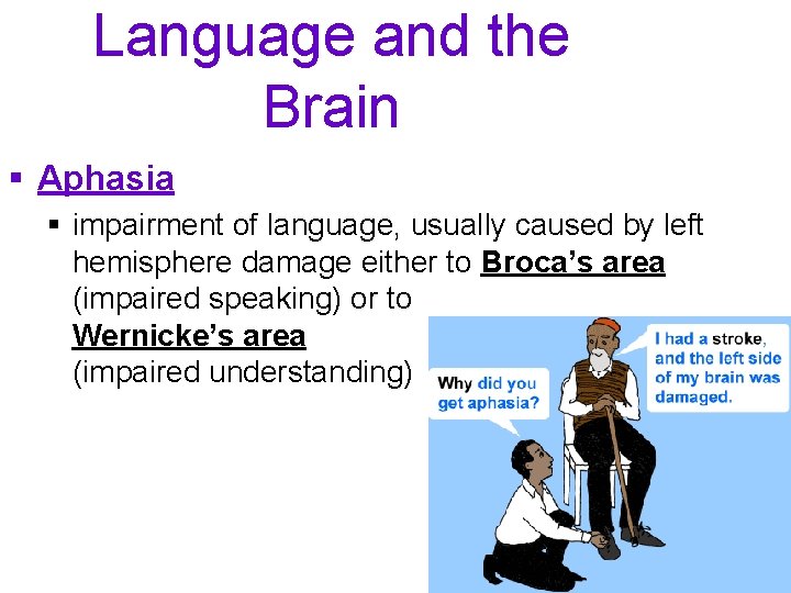 Ways to study the Brain Accidents damage to