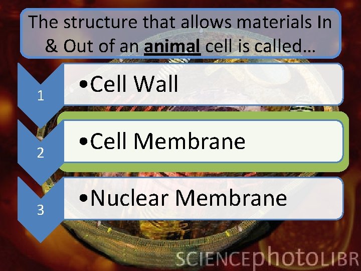 Cell Structure Function Cells and Heredity Chapter 1