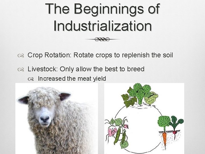 Industrialism and the Race for Empire 1700 1914