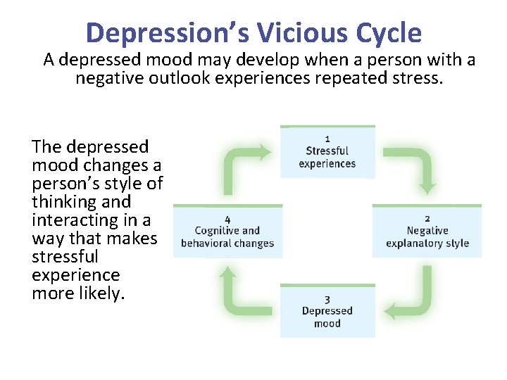 Understanding Mood Disorders Why are mood disorders so
