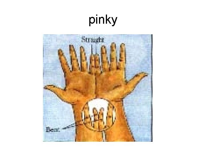 Traits Ear lobes Hair on fingers Widows peak