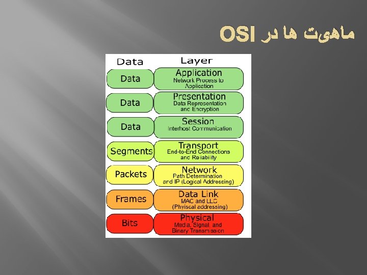 ISO OSI Physical Layer BIT Application Presentation Session