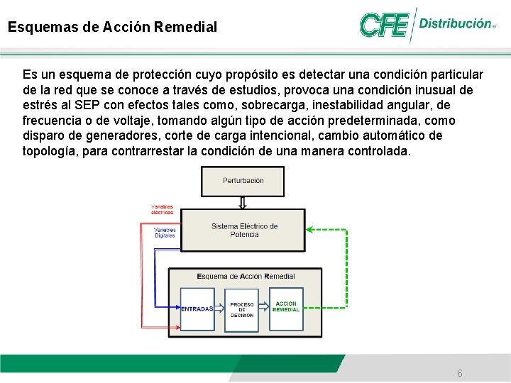 Esquemas de Accin Remedial y Esquemas de Proteccin