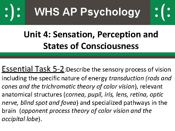 WHS AP Psychology Unit 4 Sensation Perception and
