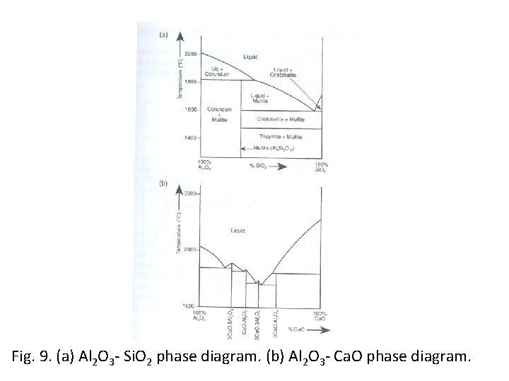 LECTURE 8 PHASE DIAGRAMS Lecture goals To know