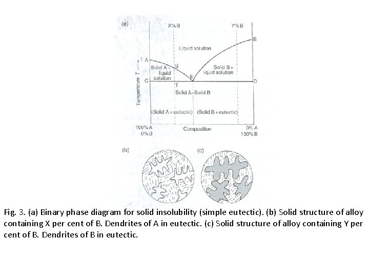 LECTURE 8 PHASE DIAGRAMS Lecture goals To know