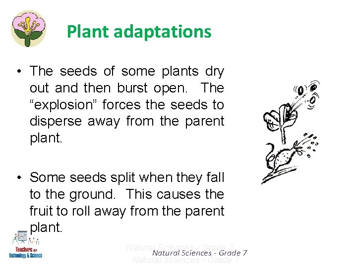 Natural Sciences Grade 7 Term 1 Life and