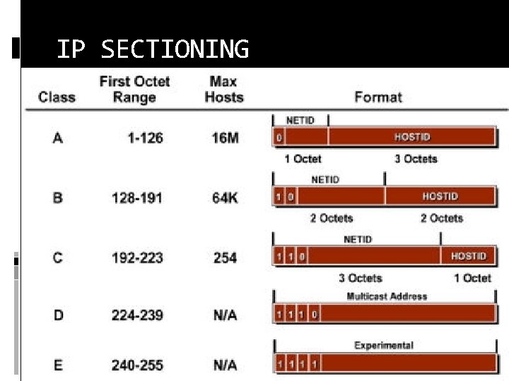 NETWORKING BASIC NETWORKING WHAT IS A NETWORK Consist