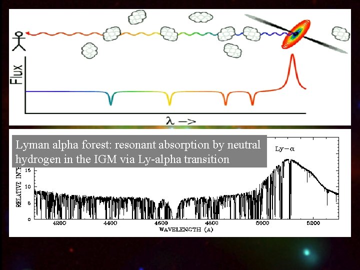 Cosmic Structure and Evolution as Revealed by the