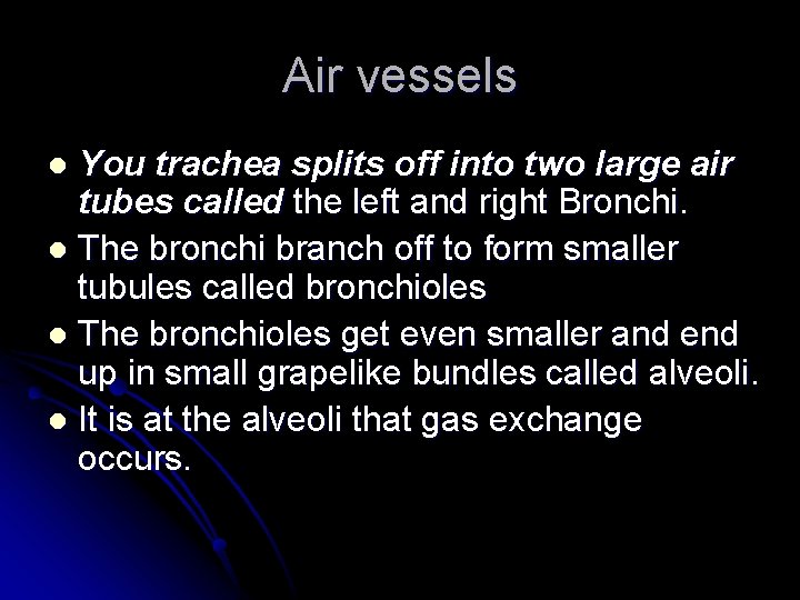 Human Organ Systems l The Respiratory System Function