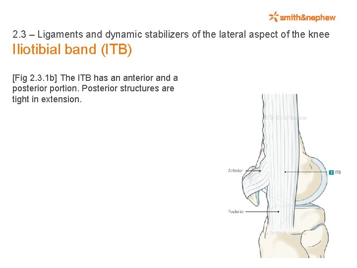 Ligament Balancing in Total Knee Arthroplasty Section 2