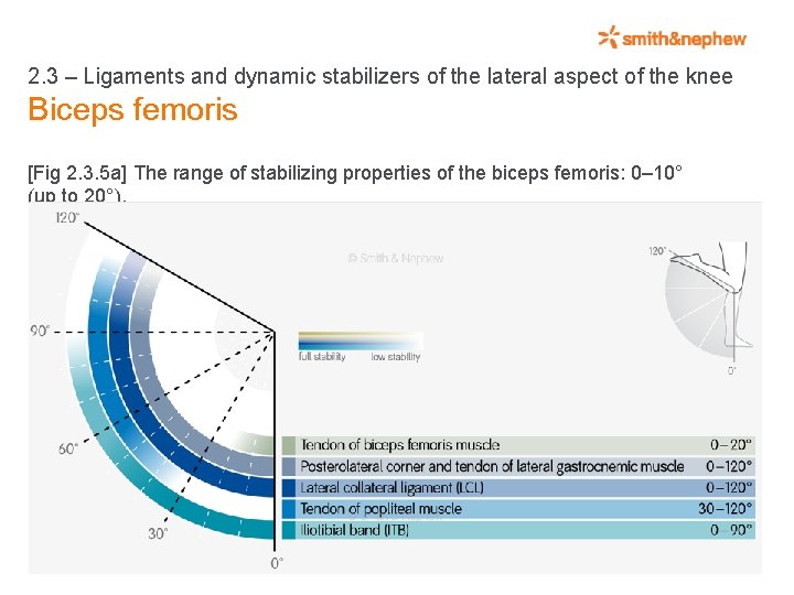 Ligament Balancing in Total Knee Arthroplasty Section 2