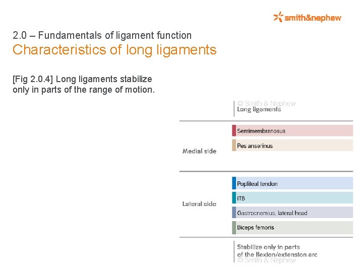 Ligament Balancing in Total Knee Arthroplasty Section 2
