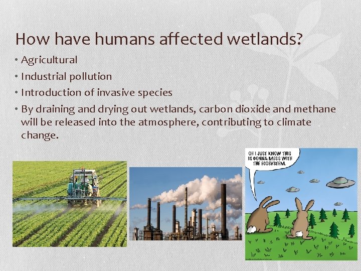3 2 NOTES How Humans Influence Ecosystems A