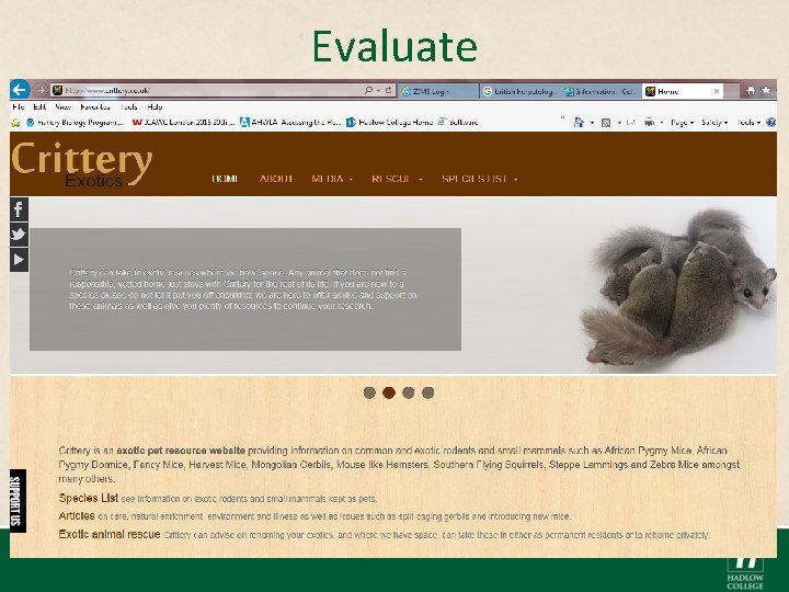 Exotic Animal Health and Husbandry Ethical Sourcing By