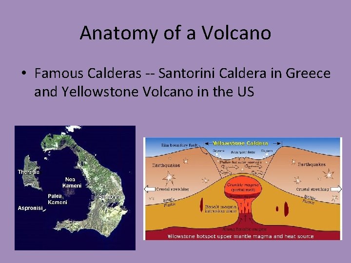 Bell Ringer Phanerozoic eon is divided into 3