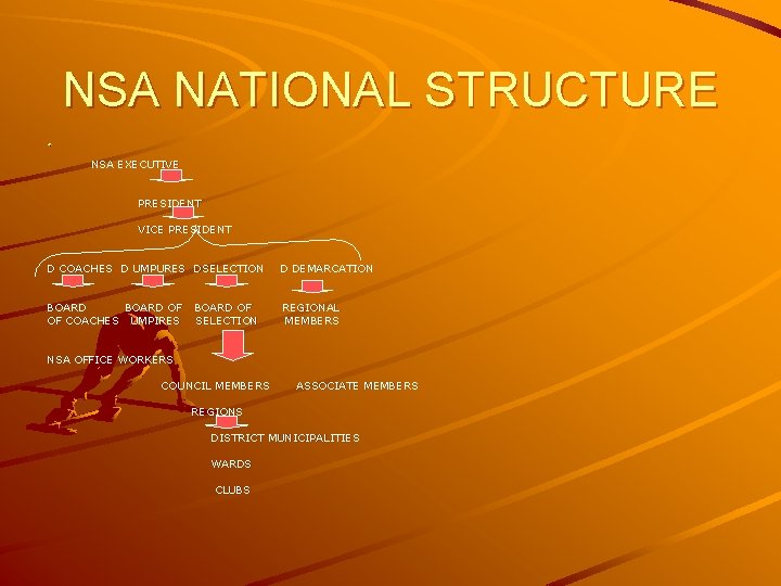 PRESENTATON ON NETBALL SOUTH AFRICA TO SPORTFOLIO COMMITTEE